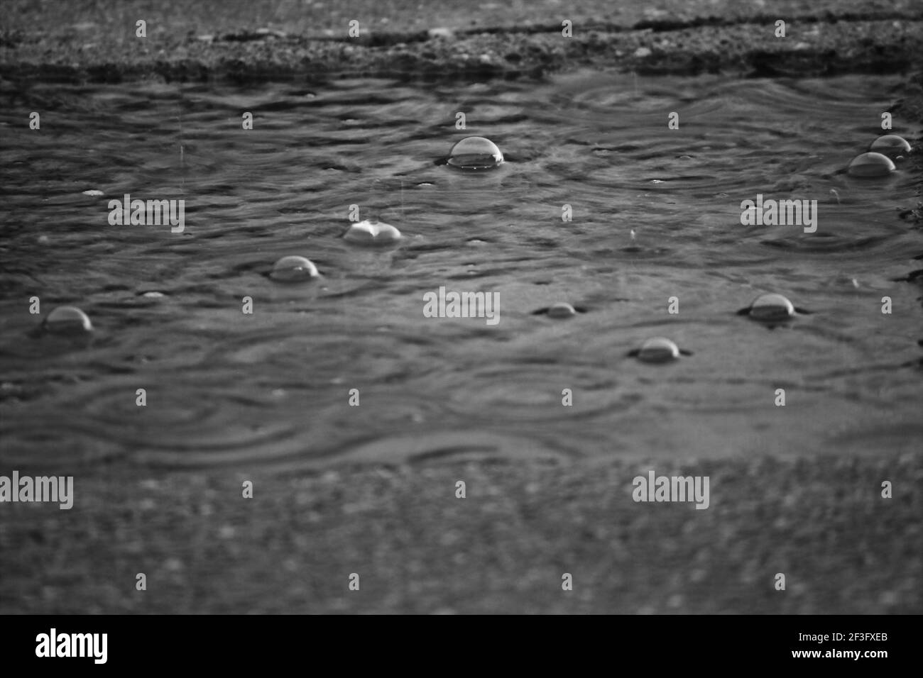 A closeup shot of raindrops falling into a puddle Stock Photo - Alamy