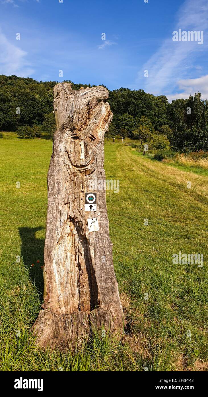 Carved tree face in a tree stump hi-res stock photography and images ...