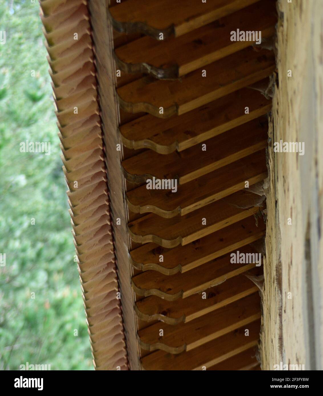 Side angle shot natural light hi-res stock photography and images - Alamy
