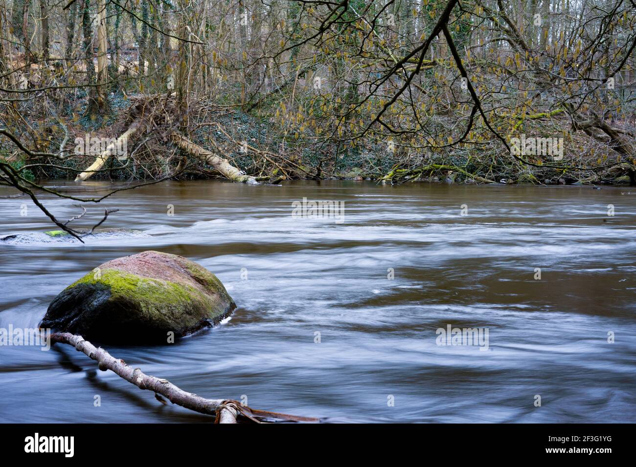 Water tream hi-res stock photography and images - Alamy