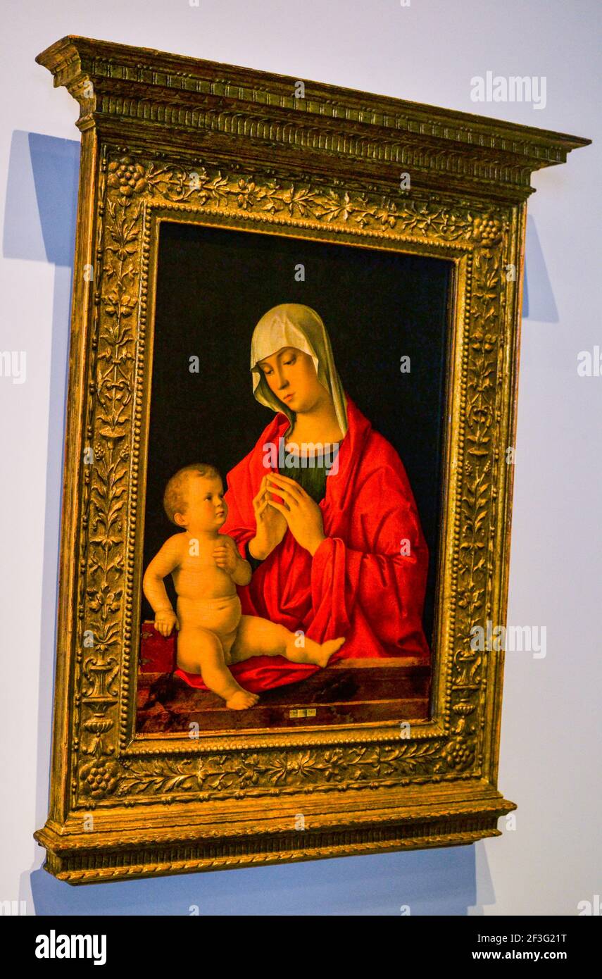 ABU DHABI, UNITED ARAB EMIRATES - Nov 15, 2019: Abu Dhabi, UAE ...