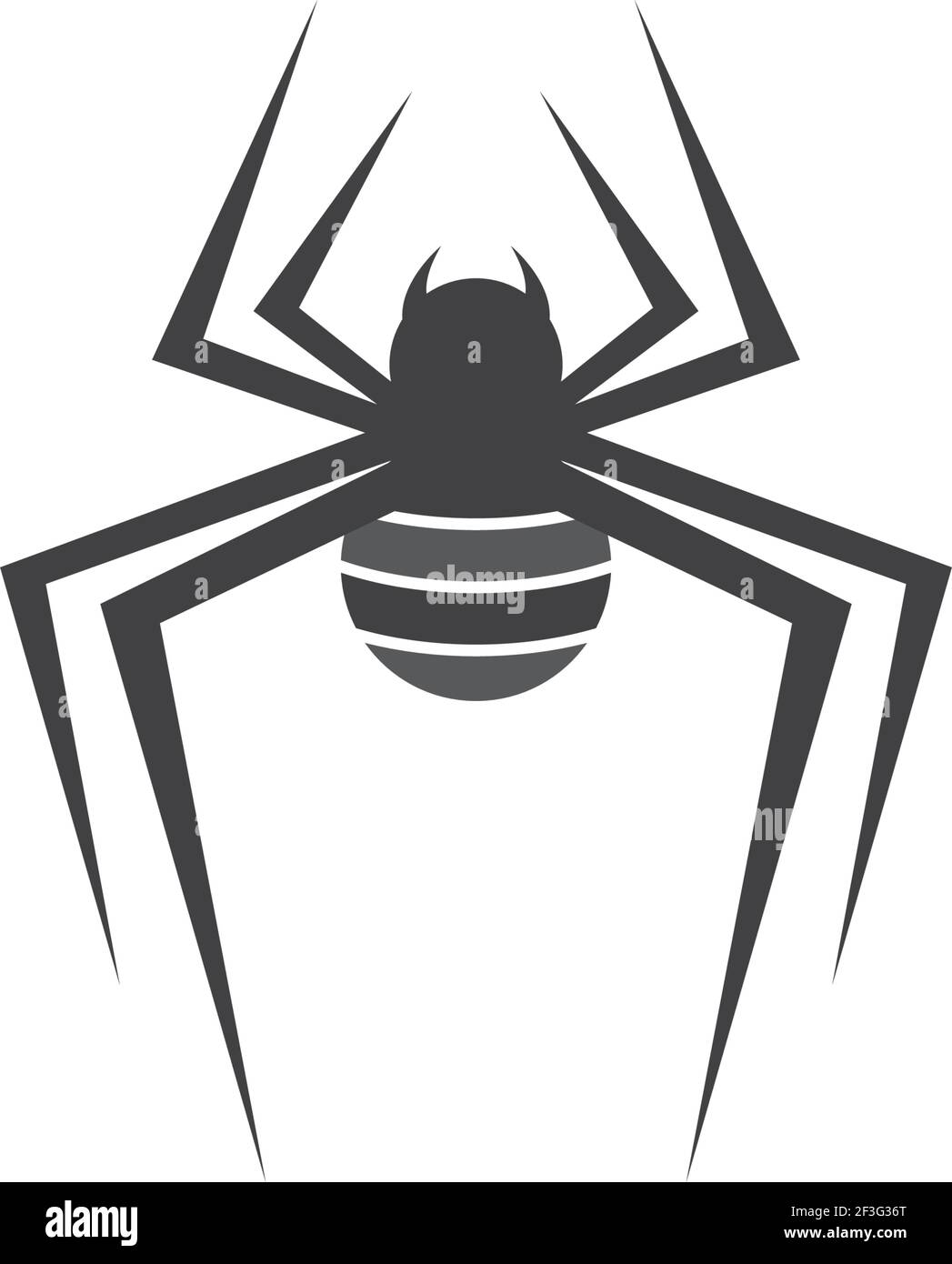 Spider back pattern Cut Out Stock Images & Pictures - Alamy