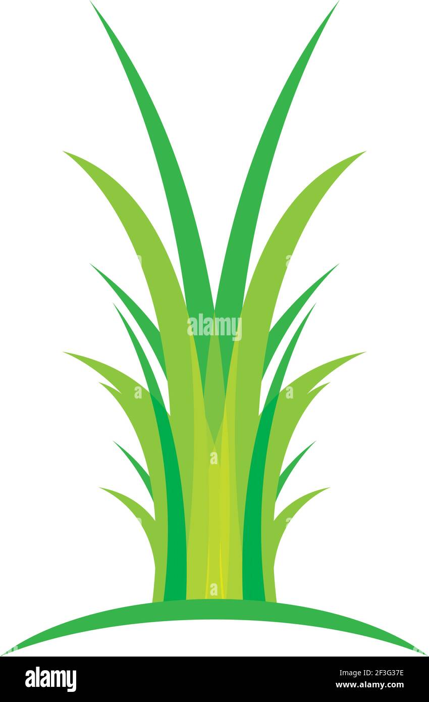 Grass vector illustration design Stock Vector Image & Art - Alamy