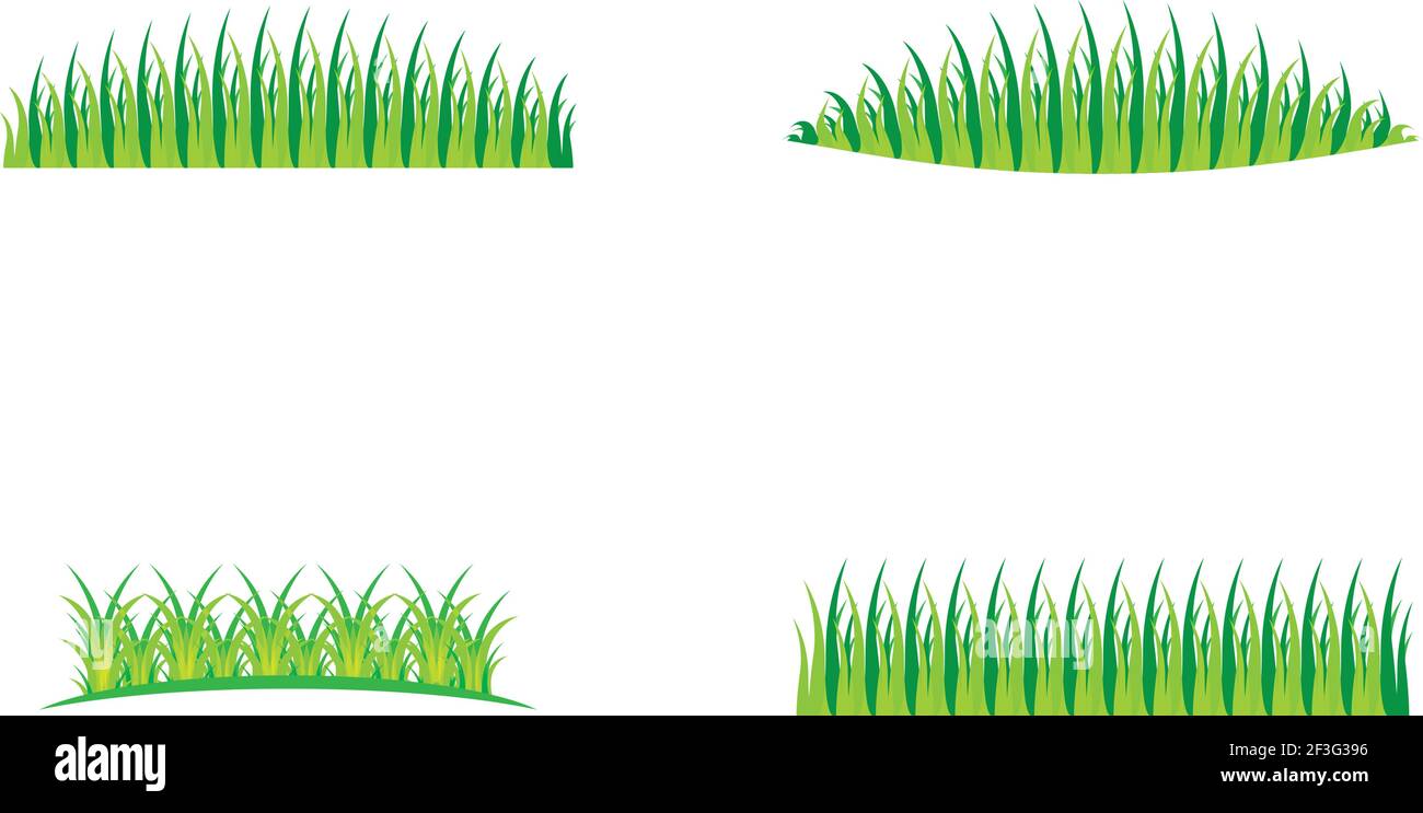 Grass vector illustration design Stock Vector Image & Art - Alamy