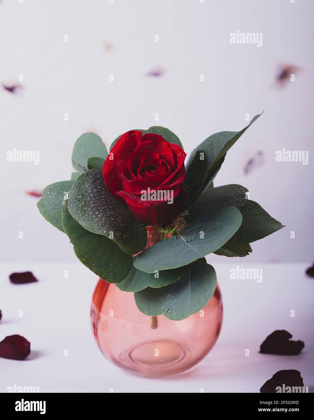 Dewy Colors High Resolution Stock Photography and Images - Alamy