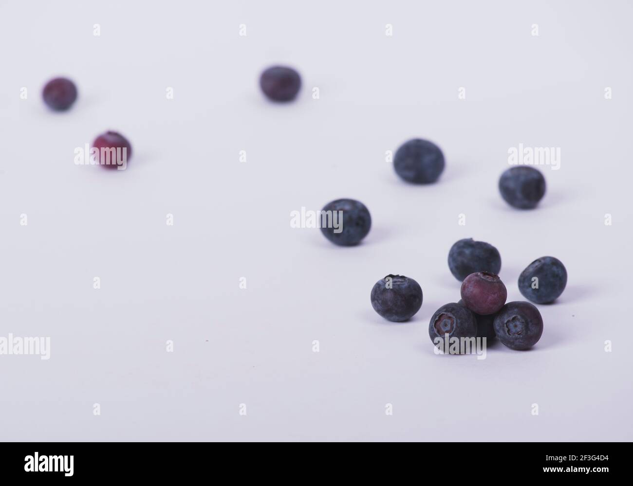 European blueberry plants hi-res stock photography and images - Alamy