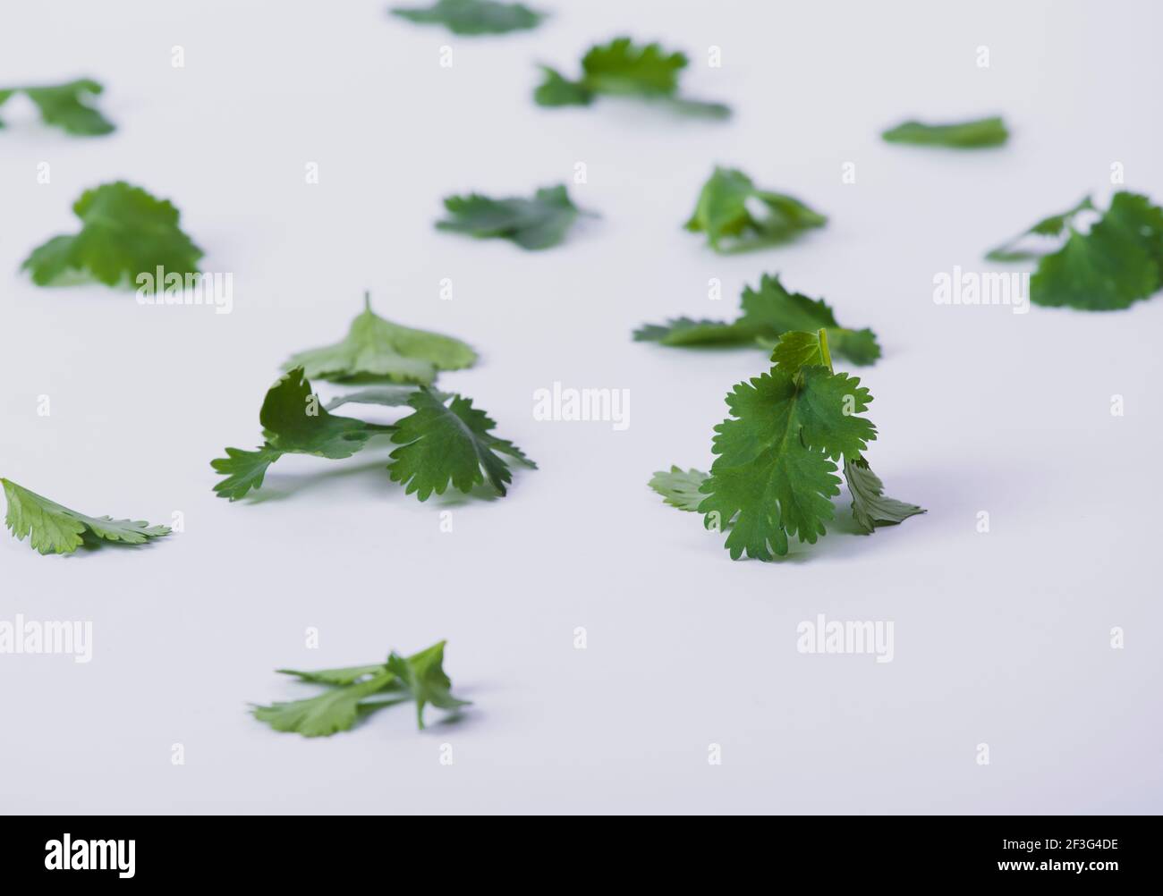 Produce carne hi-res stock photography and images - Alamy