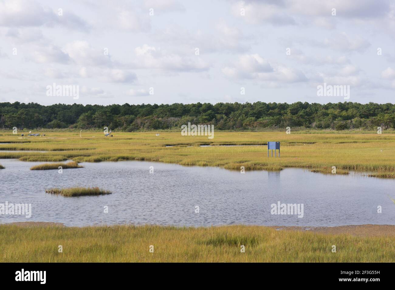 Wetlands at South Cape Beach in Mashpee, MA. Part of the Waquoit Bay ...
