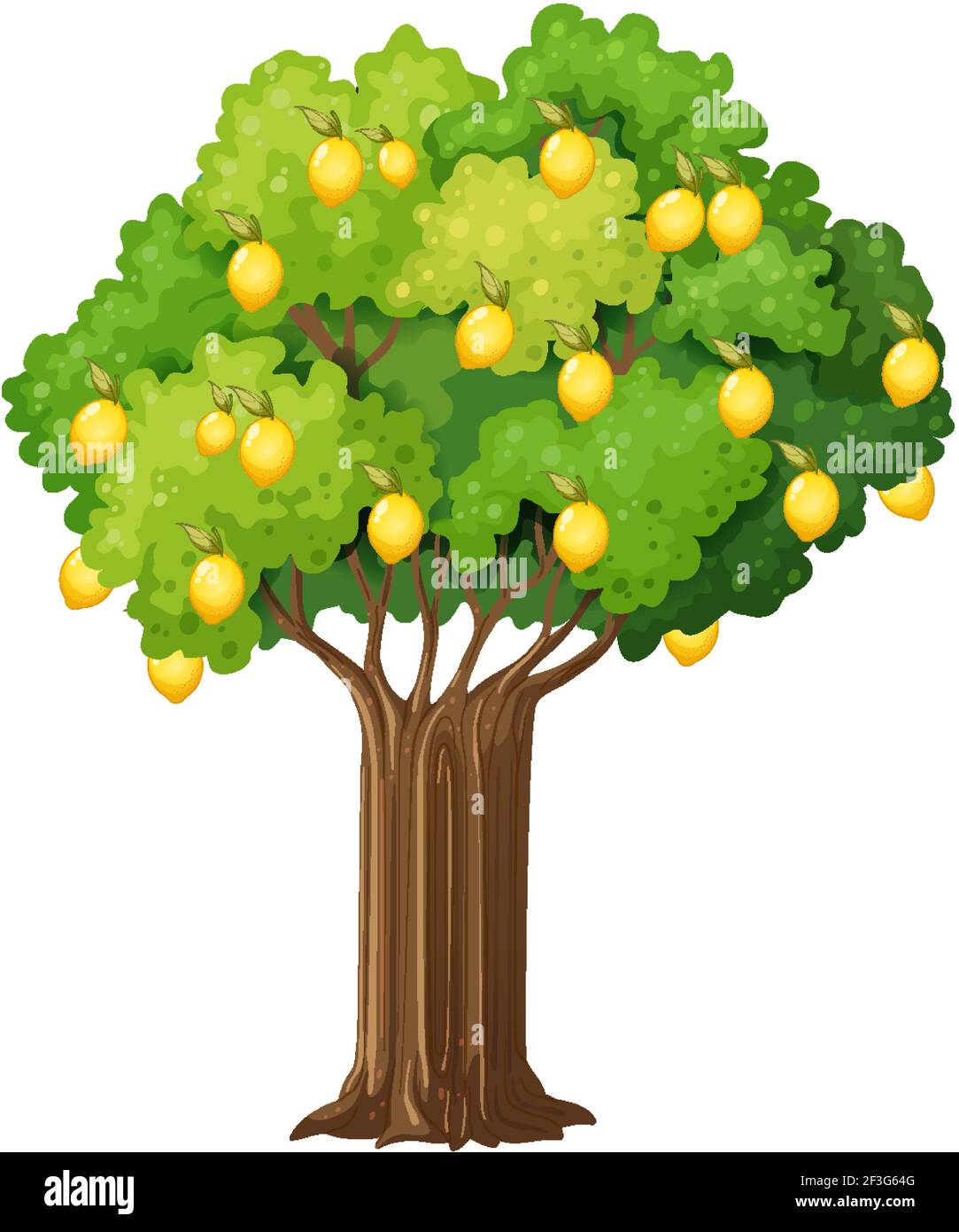 Lemon tree isolated on white background illustration Stock Vector Image ...