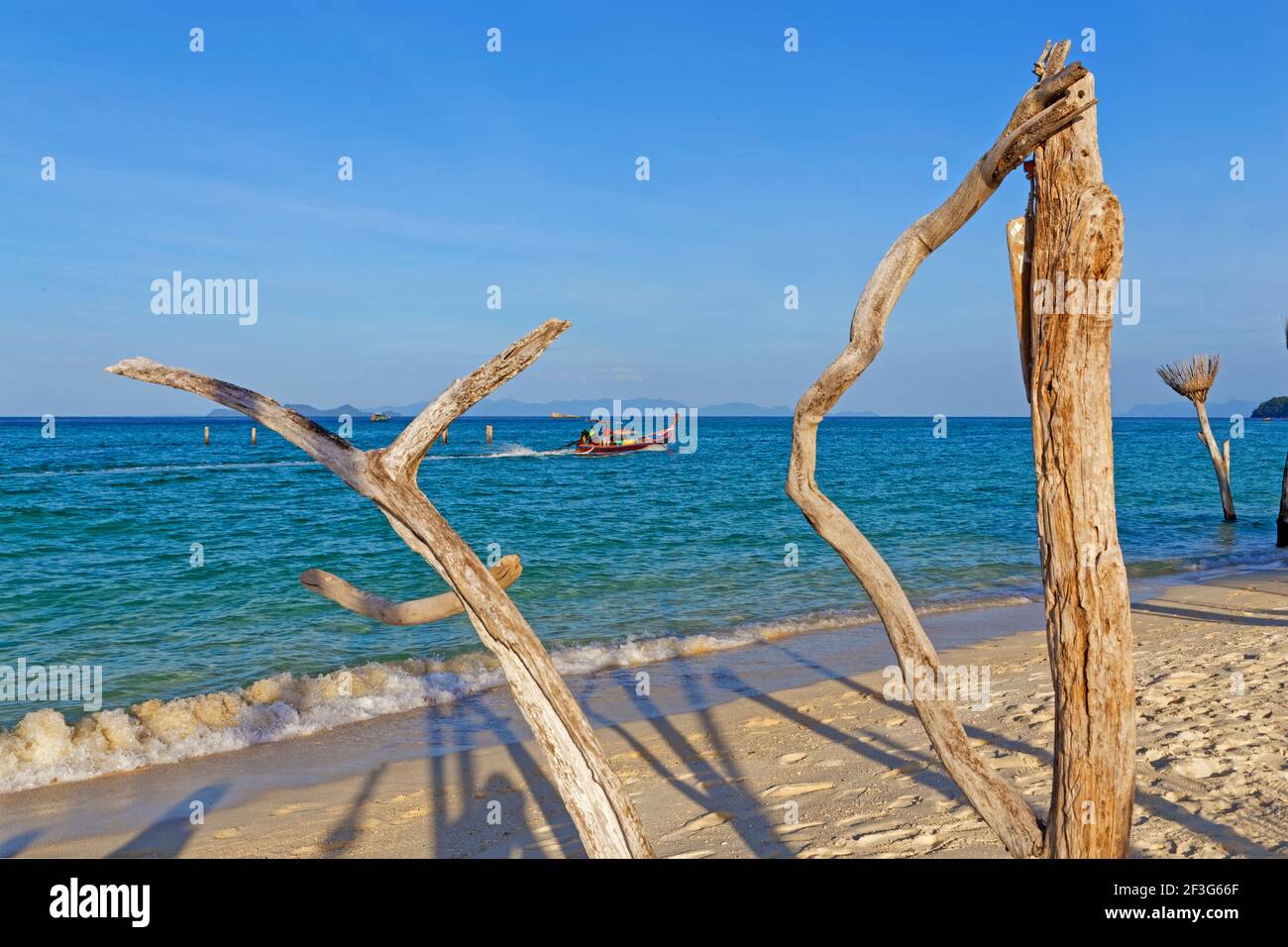 Zodiac beach - Zodiacstock.com