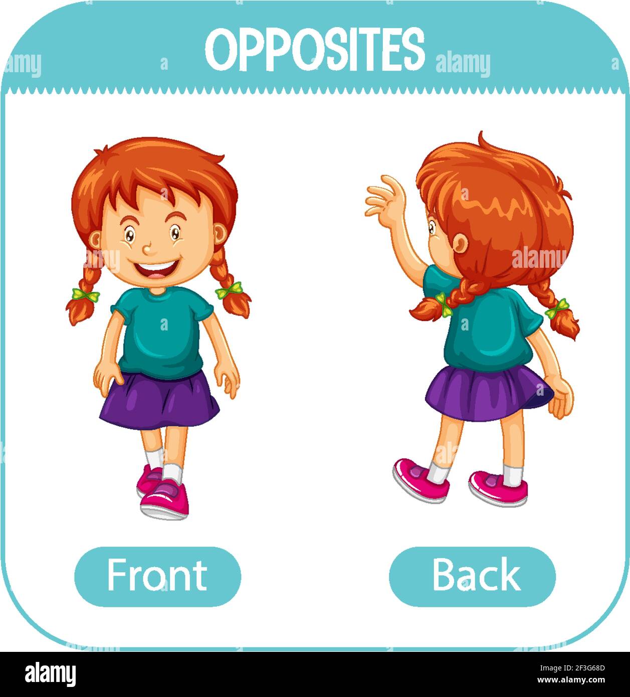 Opposite words with front and back illustration Stock Vector Image ...
