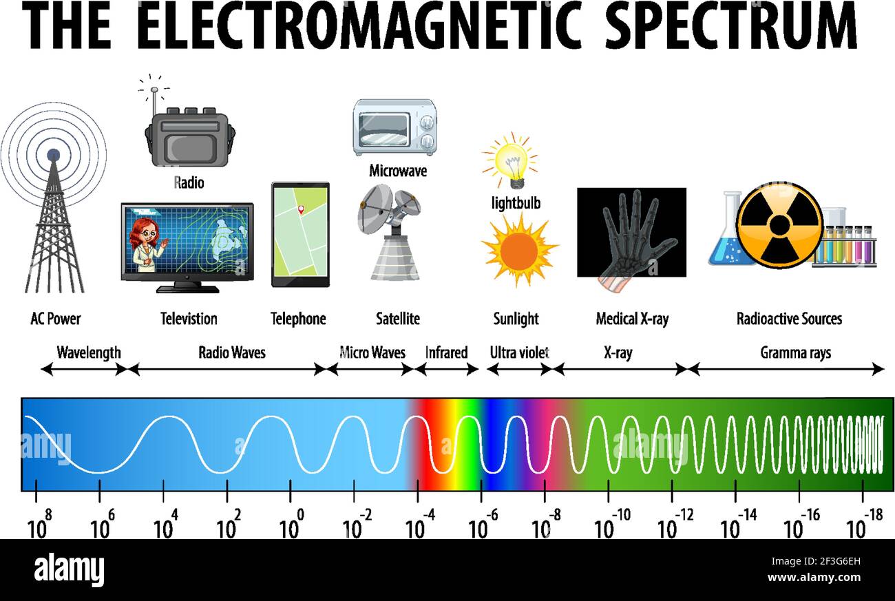 Science Electromagnetic Spectrum diagram illustration Stock Vector ...