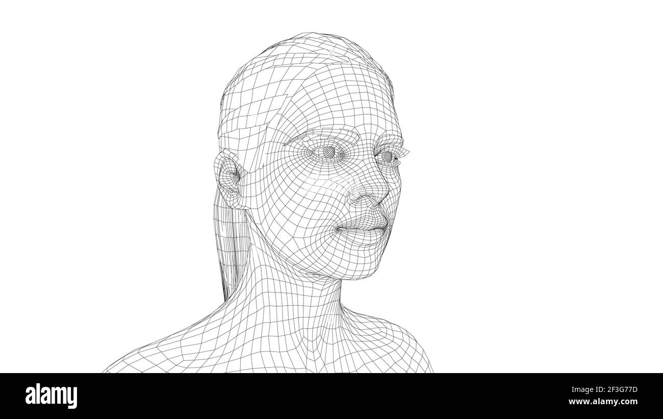 Wireframe portrait of a young beautiful girl Stock Vector Image & Art ...