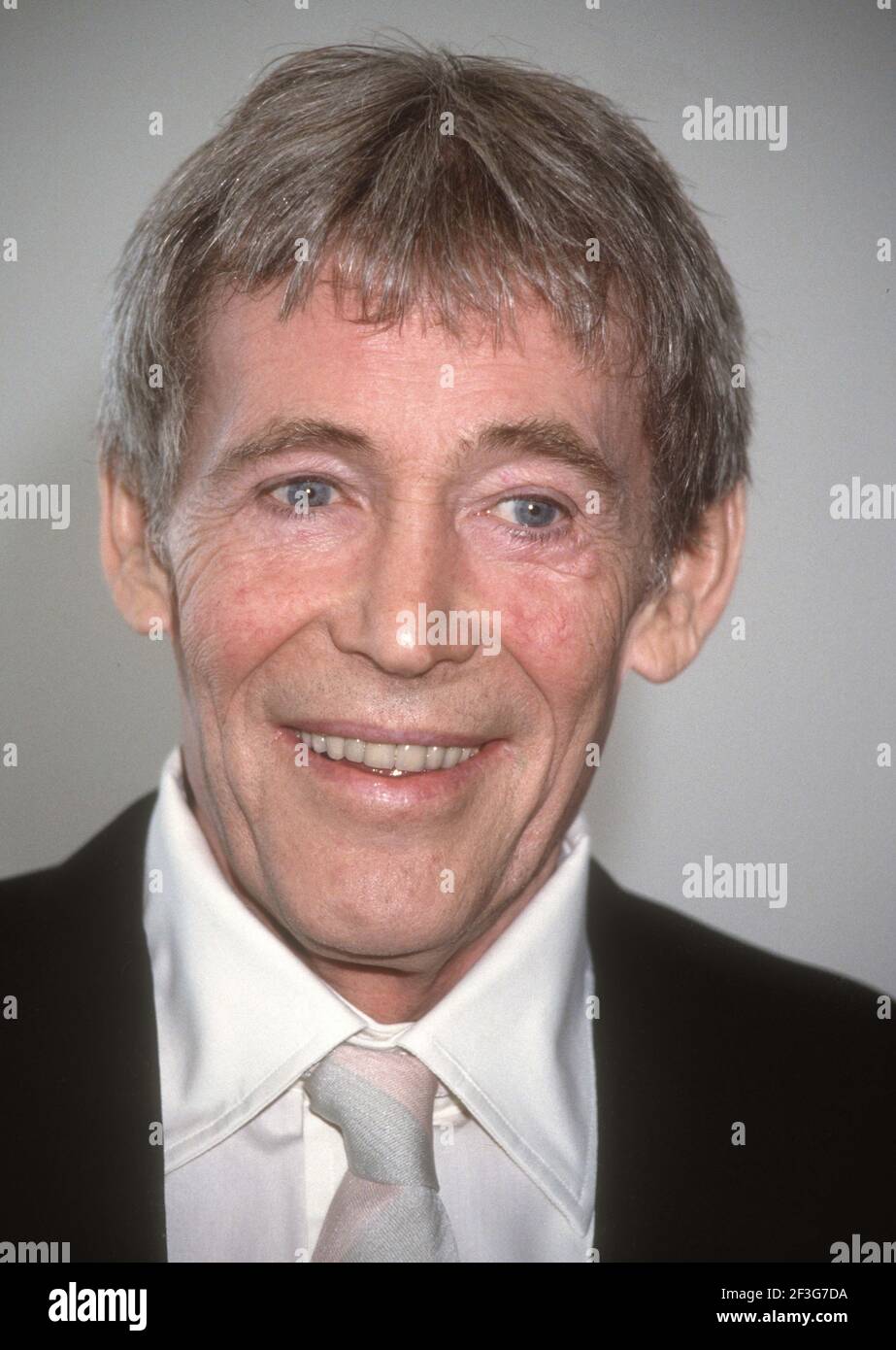 Peter OToole 1990 Photo by Adam Scull-PHOTOlink.net / MediaPunch Stock ...