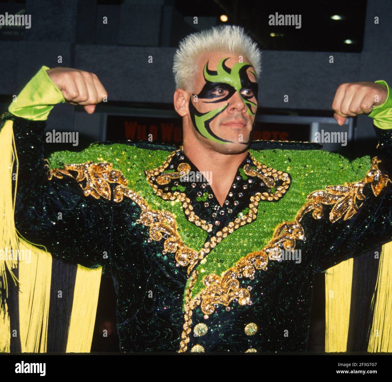 Sting1990Photo By John Barrett/PHOTOlink /MediaPunch Stock Photo - Alamy