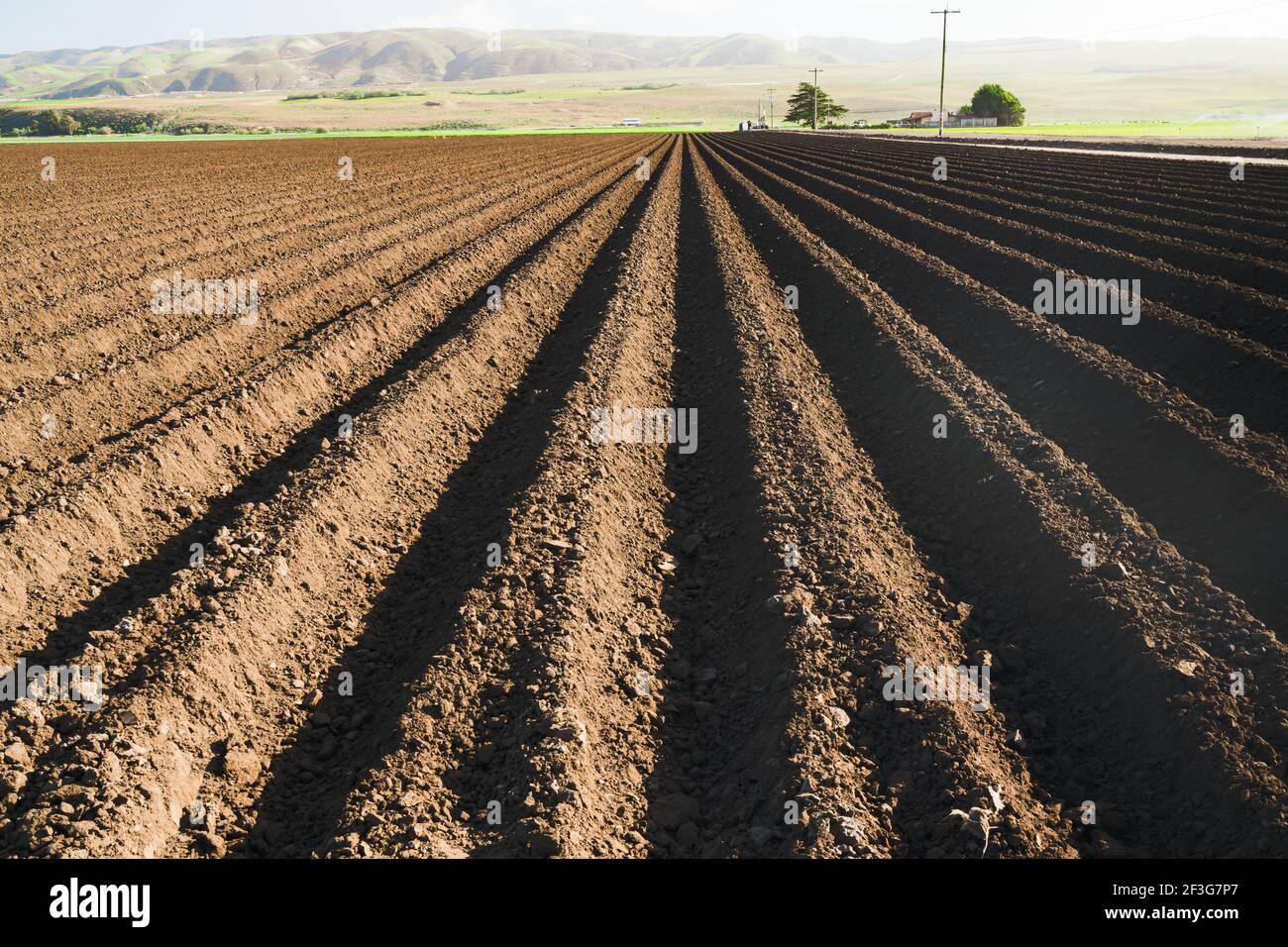Sowing in rows in ground hi-res stock photography and images - Alamy