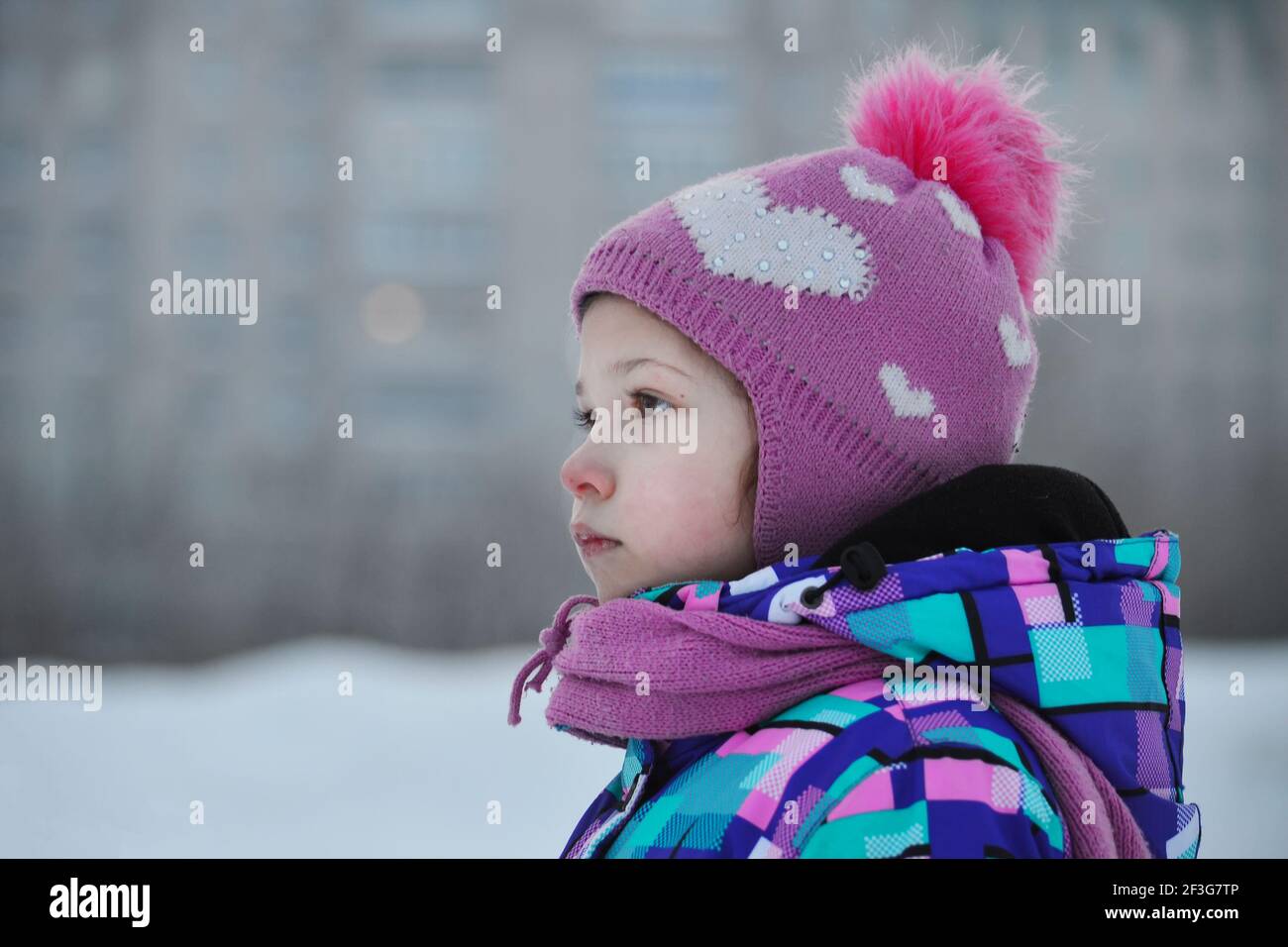 Portrait of siberian winter. Side view Stock Photo - Alamy