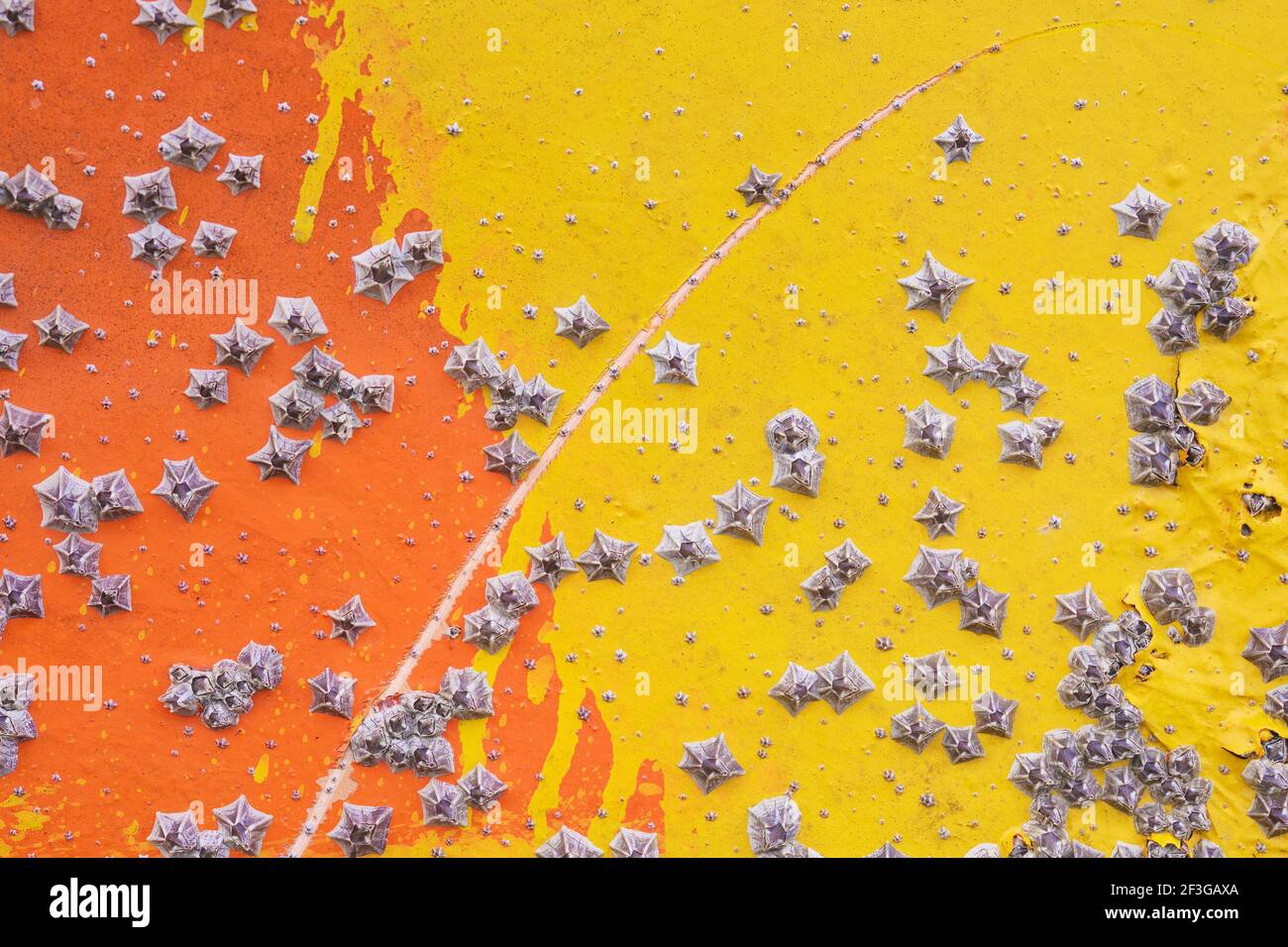 Barnacle on Boat Stock Photo - Alamy
