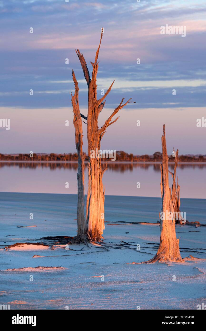 Lake Ninan Salt Lake, Victoria Plains, Western Australia Stock Photo ...