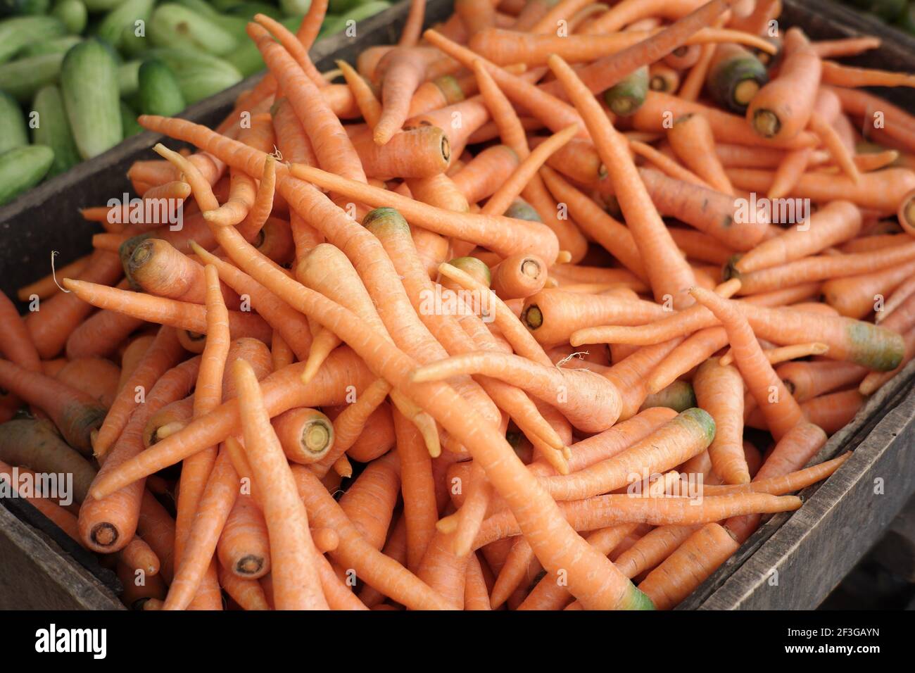 a collection of red carrots at a traditional market. fresh vegetables ...