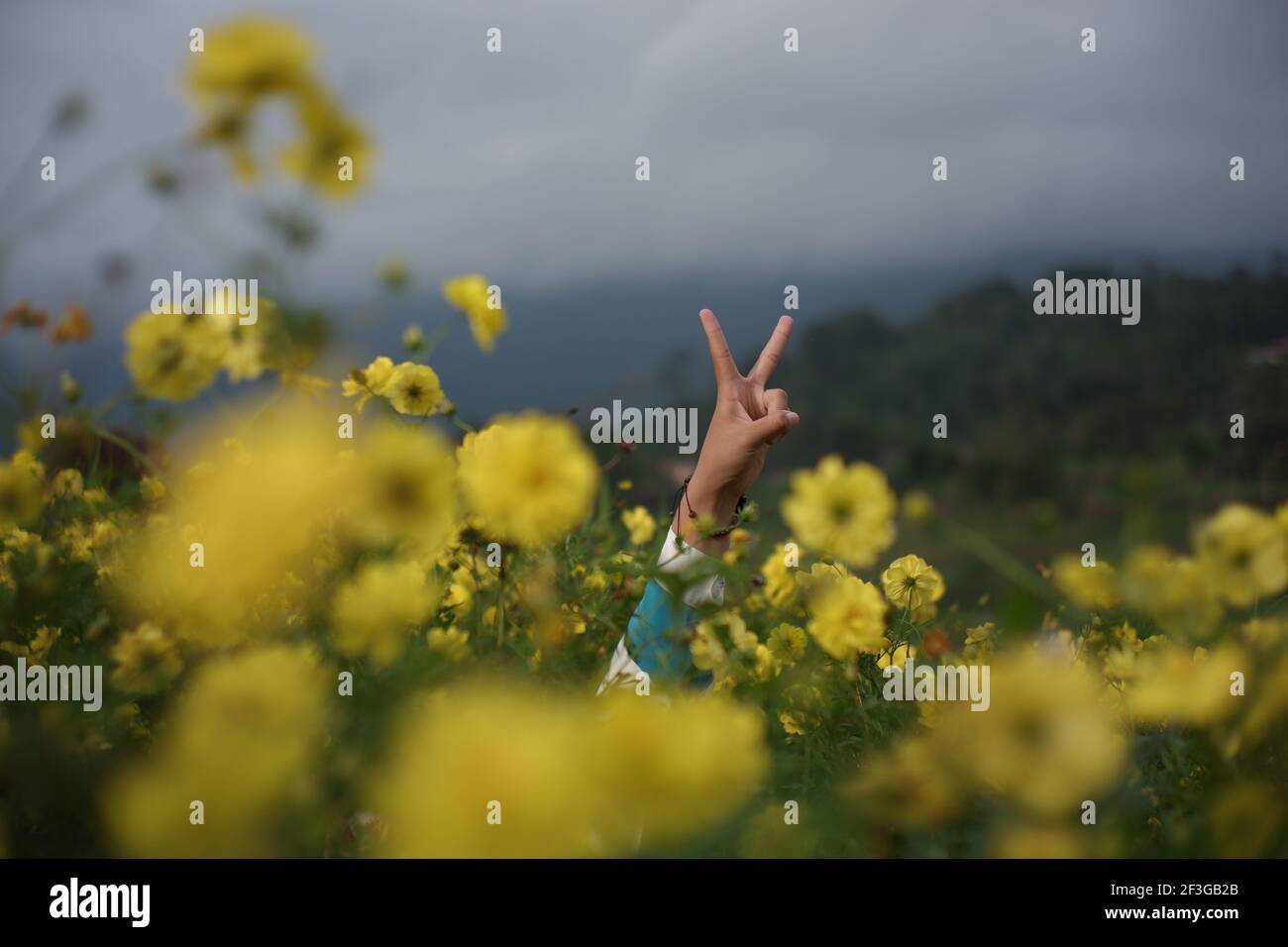Two finger sign hi-res stock photography and images - Alamy
