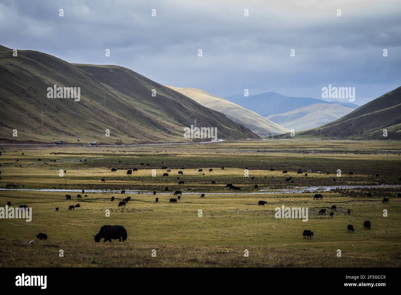 Local farm, China Stock Photo - Alamy