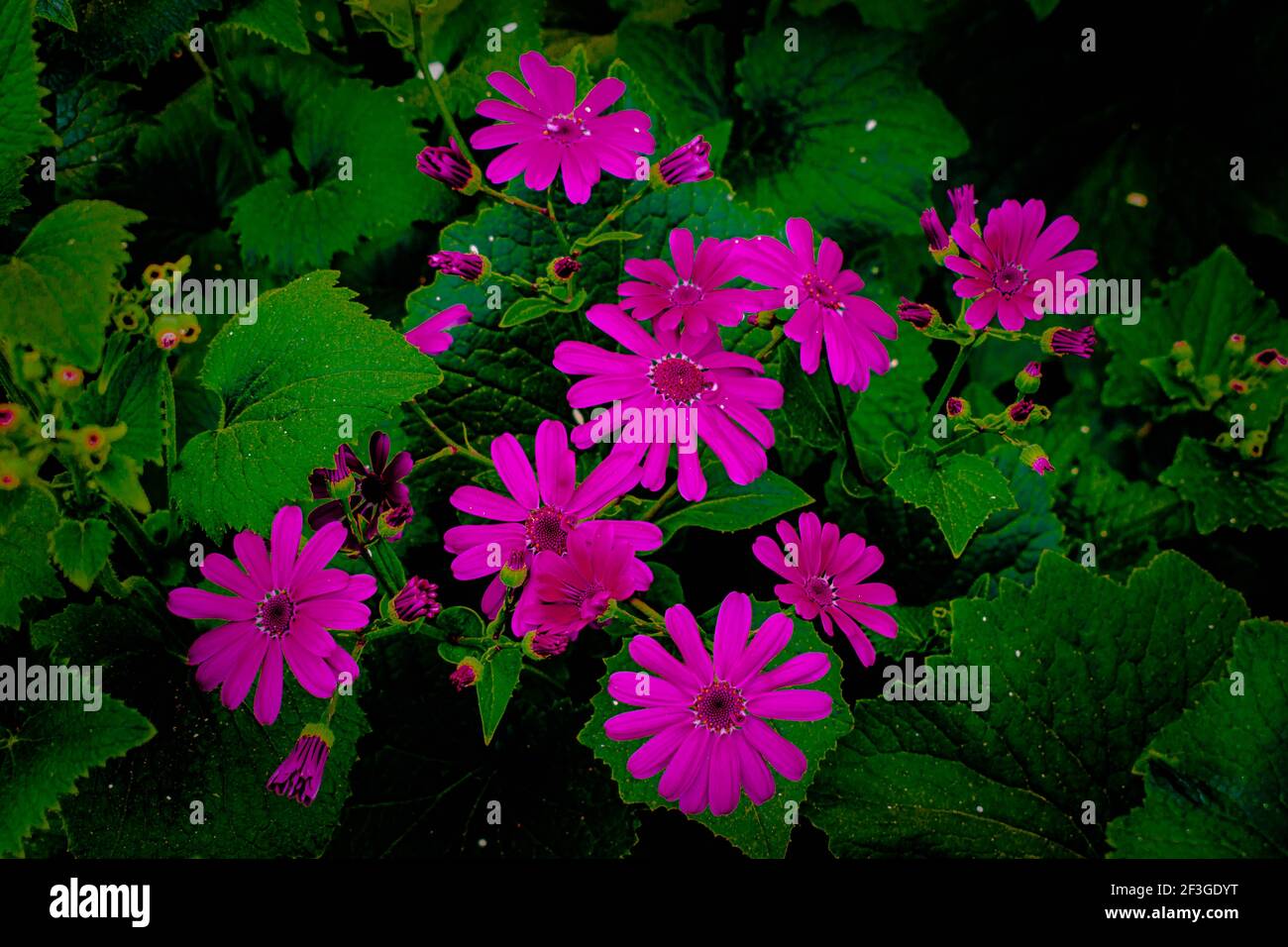 Beautiful Paintings, art, design monuments, temples, architectures ...