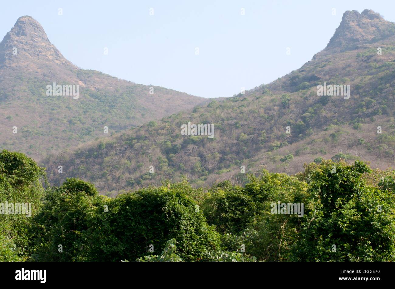 Girnar hi-res stock photography and images - Alamy
