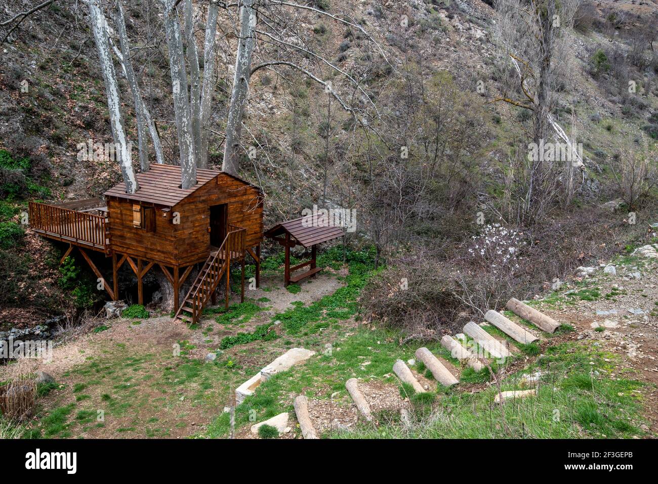 Walk path with wooden stairs leading to a tree house. Treehouse ...