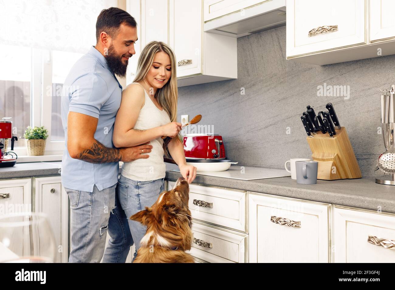Loving couple cooking food in kitchen with their Border Collie dog ...