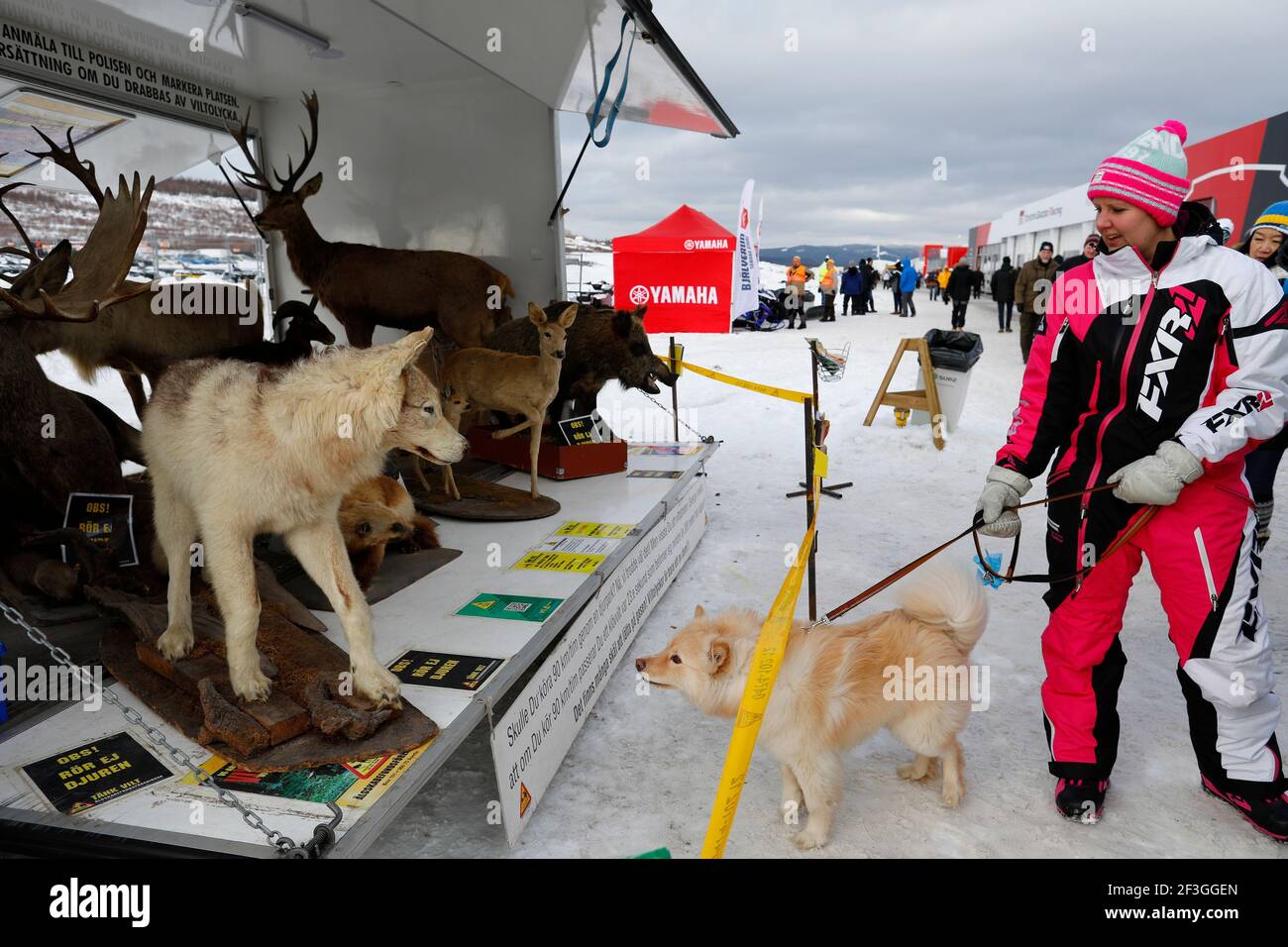 paddock foule, crowd during the 2018 WRC World Rally Car Championship ...