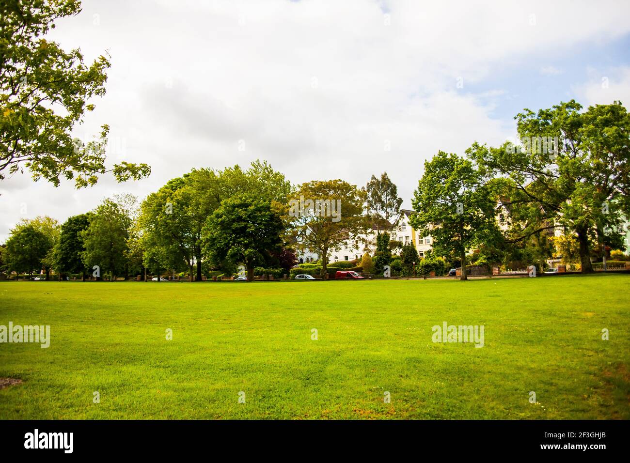 West cork flora hi-res stock photography and images - Alamy