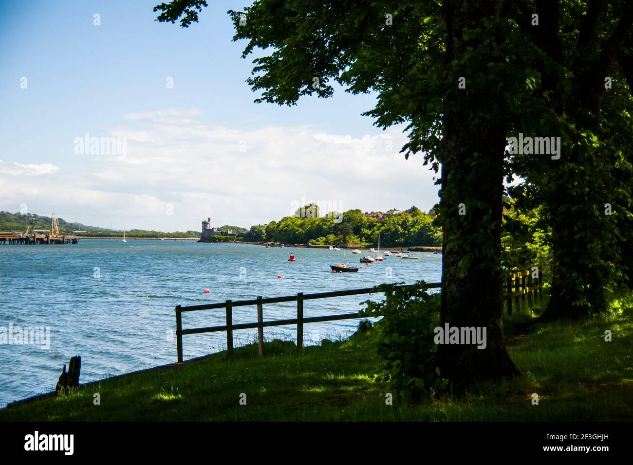West cork flora hi-res stock photography and images - Alamy