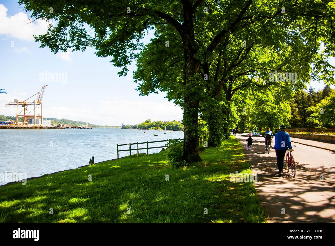 West cork flora hi-res stock photography and images - Alamy