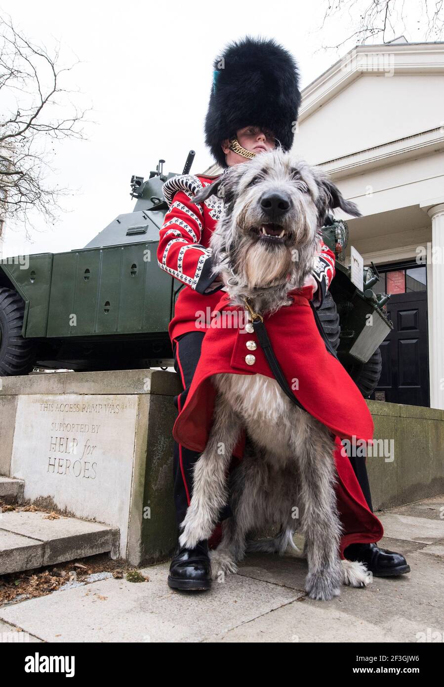 Irish Guards' new mascot, Irish Wolfhound Turlough Mor with his handler ...