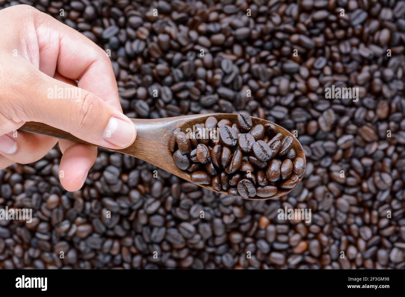 Hand holding spoonful of dark roasted coffee beans Stock Photo - Alamy
