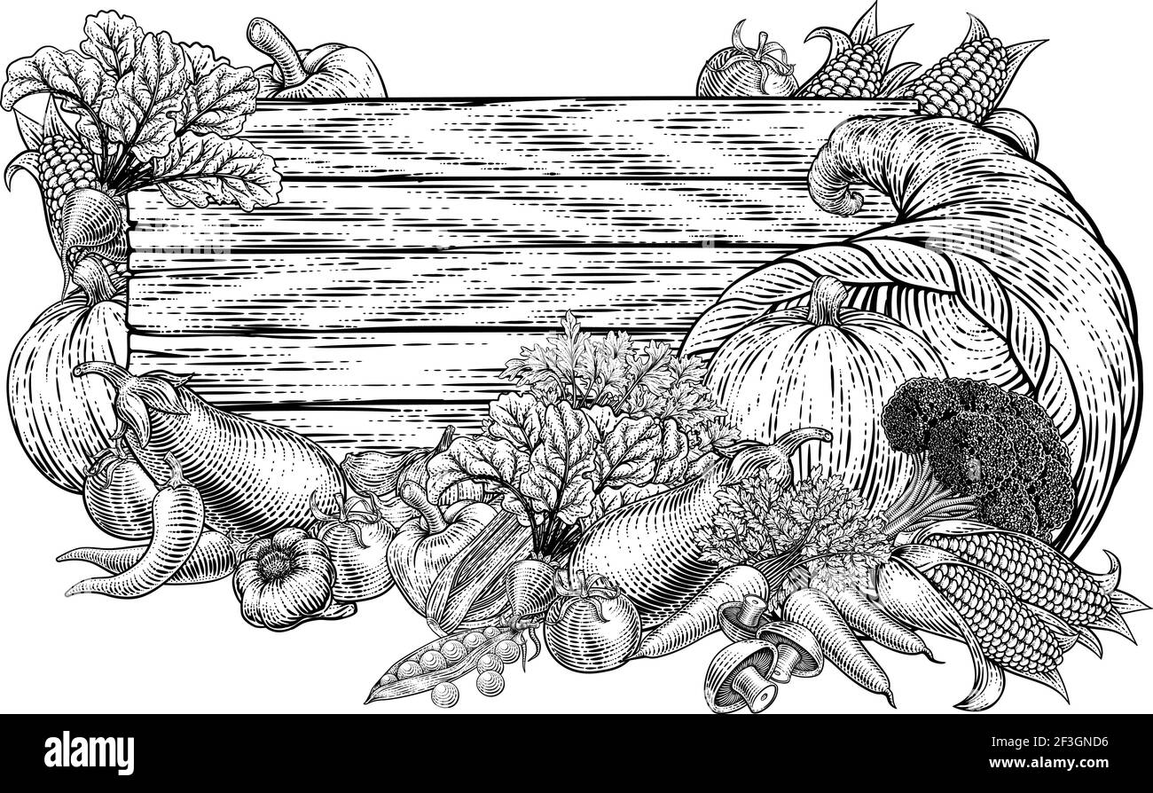 Cornucopia Garden Vegetables Thanksgiving Sign Stock Vector Image & Art ...