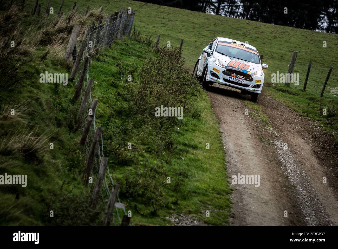 Tom williams fiesta hi-res stock photography and images - Alamy