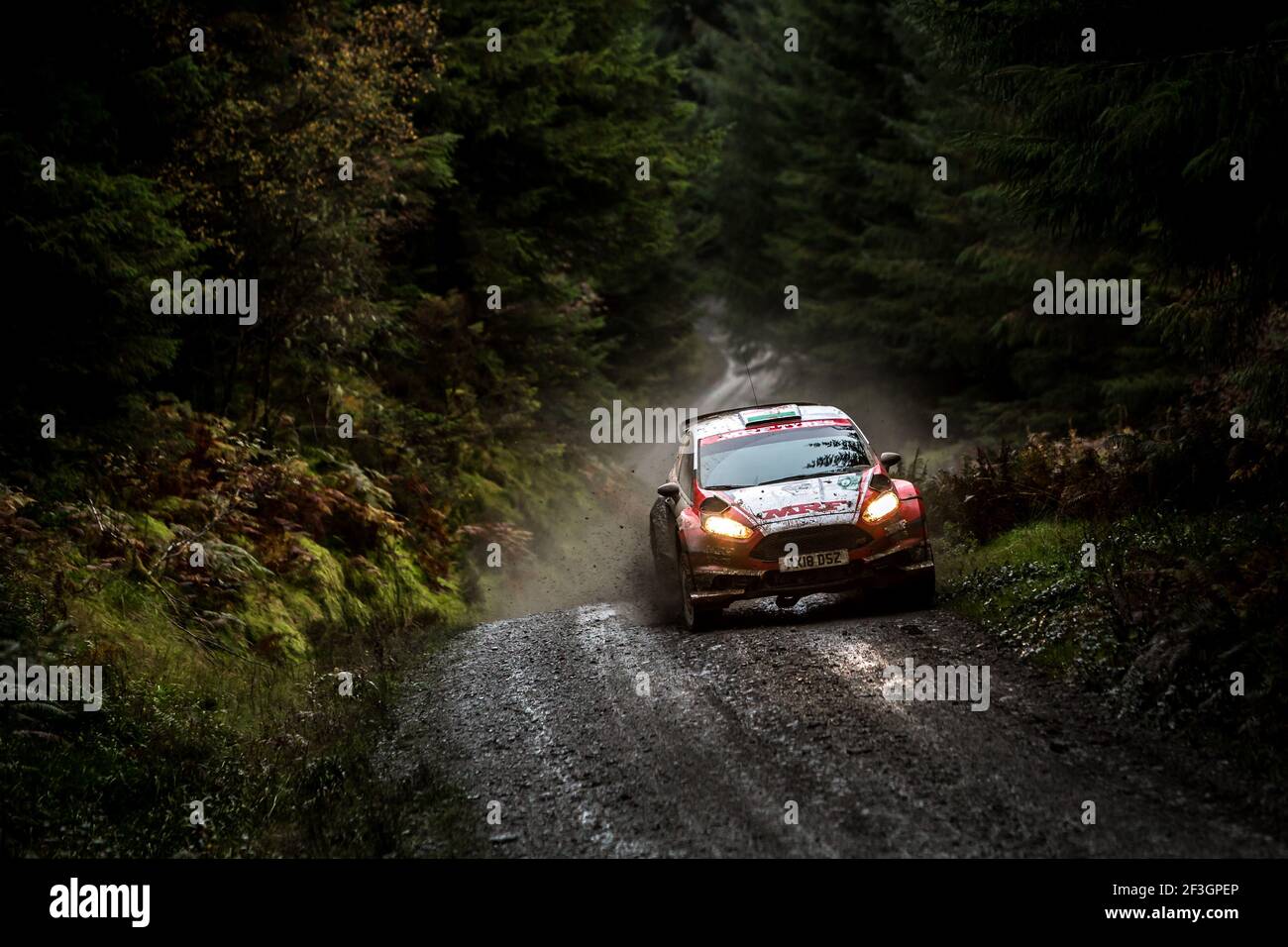 Mrf rally team hi-res stock photography and images - Alamy