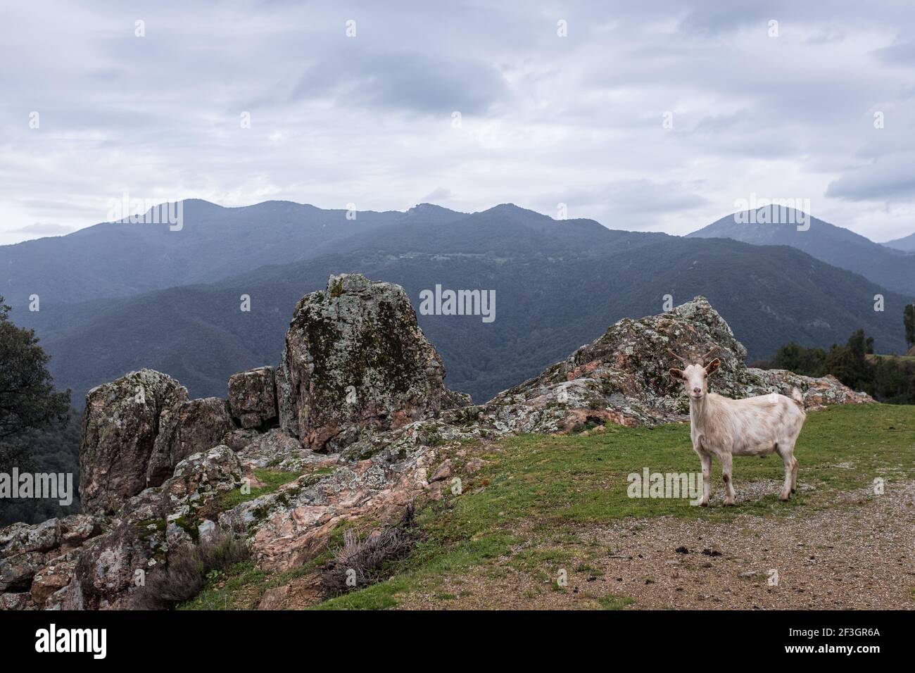 landscape, paysage, wildlife, reconnaissances, recce, during the 2018 ...