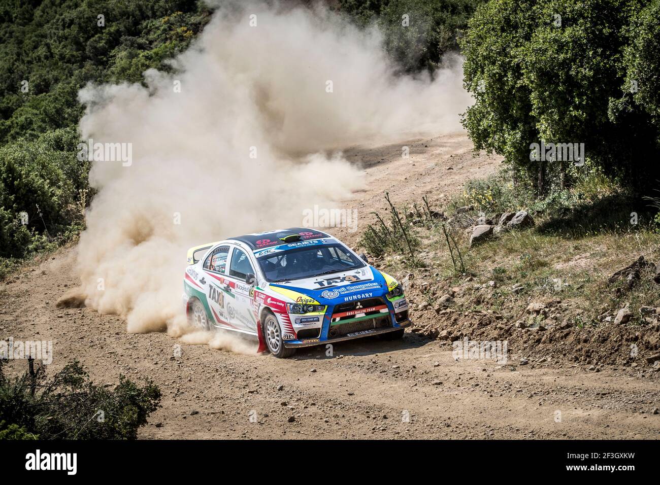 19 ERDI jr TIBOR (hun), PAPP Gyorgy (hun), Mitsubishi Lancer EVO X ...