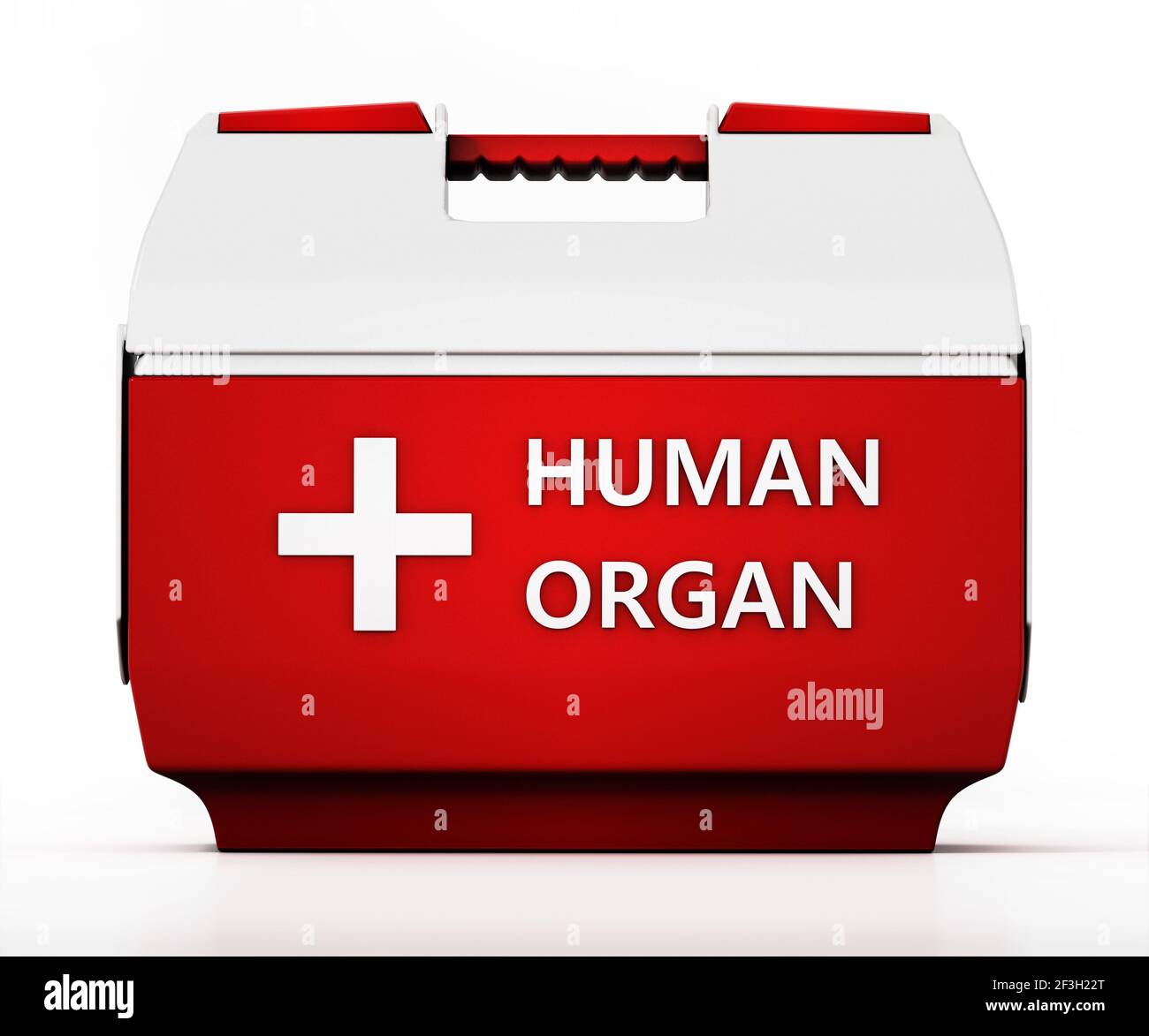 Human organ transport box isolated on white background. 3D illustration ...