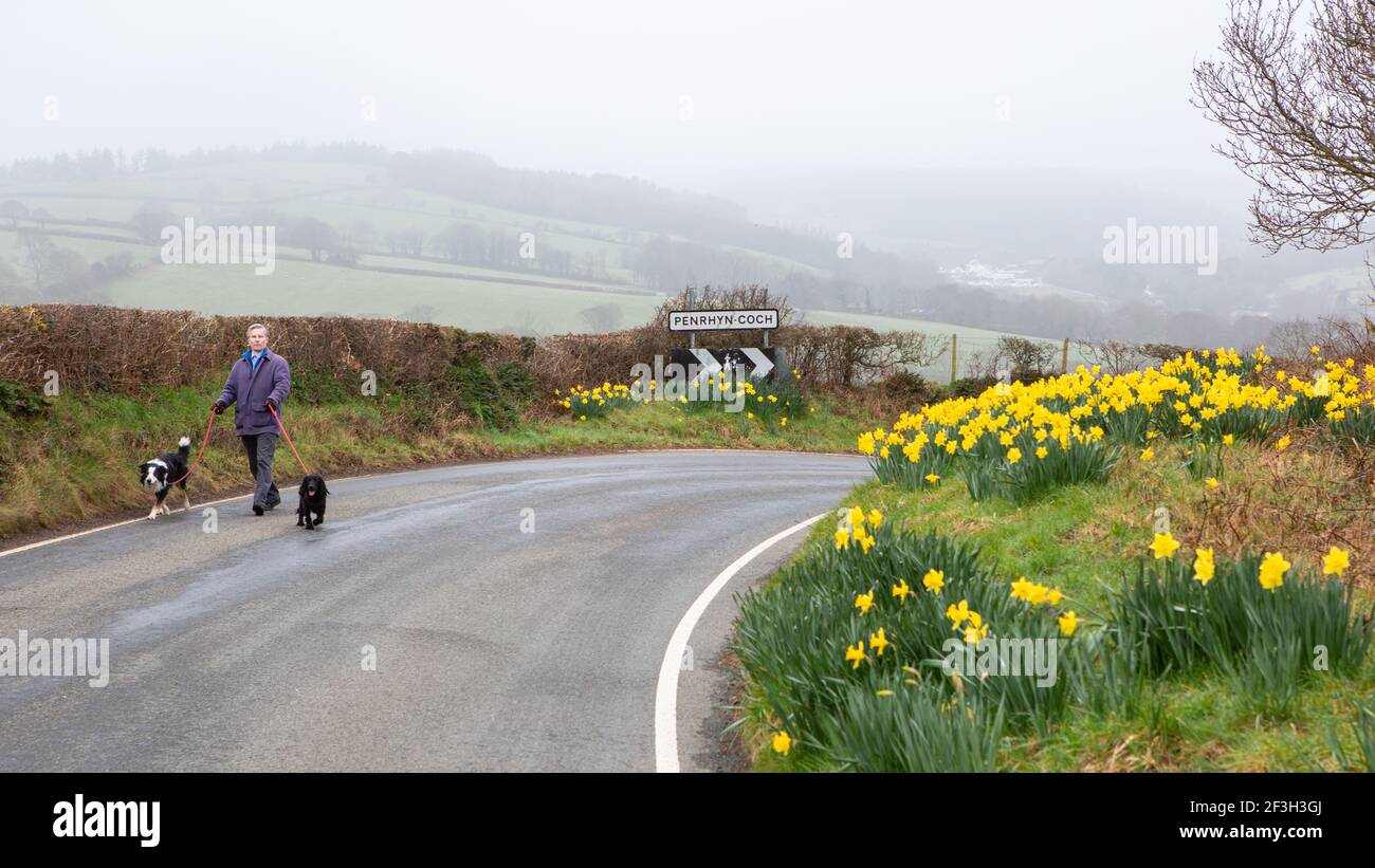 17th march 2021 hi-res stock photography and images - Alamy