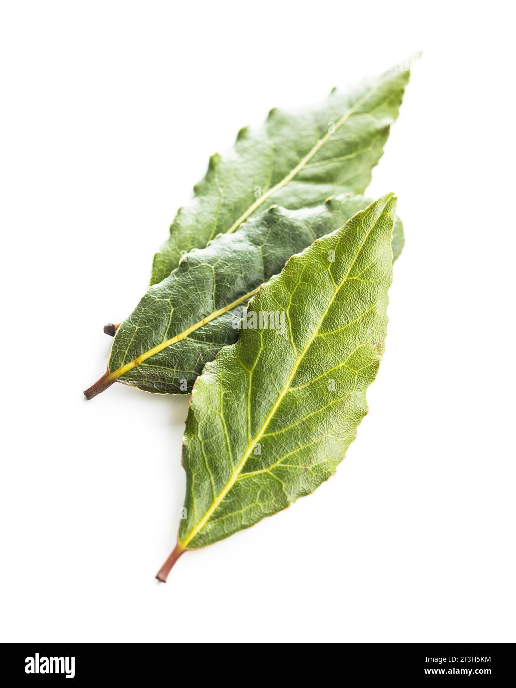 Fresh green bay leaves isolated on white background Stock Photo - Alamy