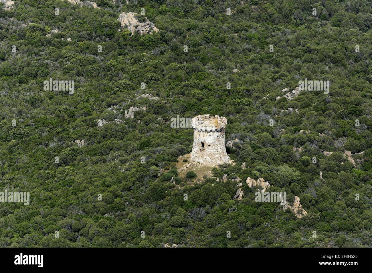 Capu hi-res stock photography and images - Alamy