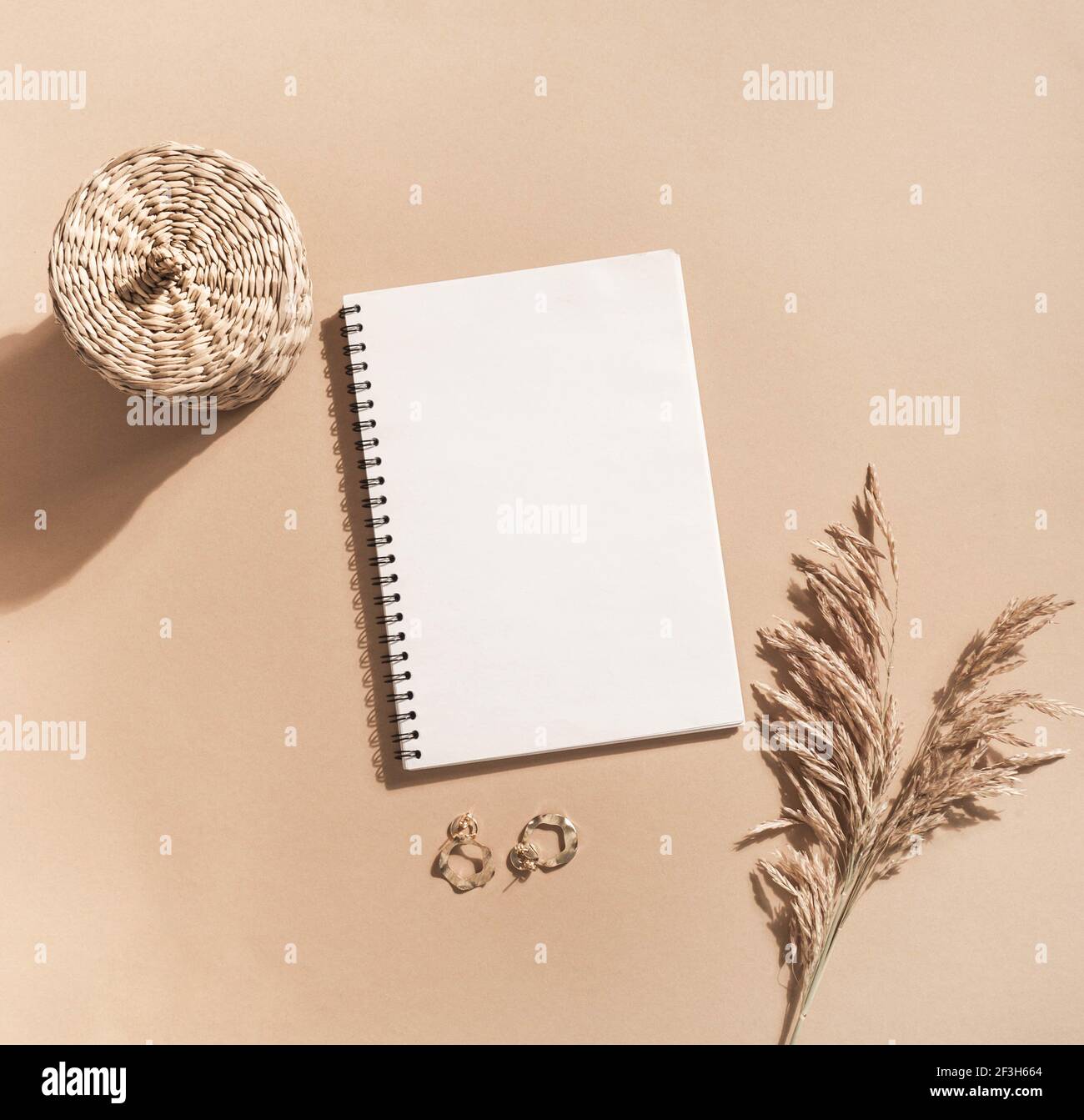 Writing reeds hi-res stock photography and images - Alamy