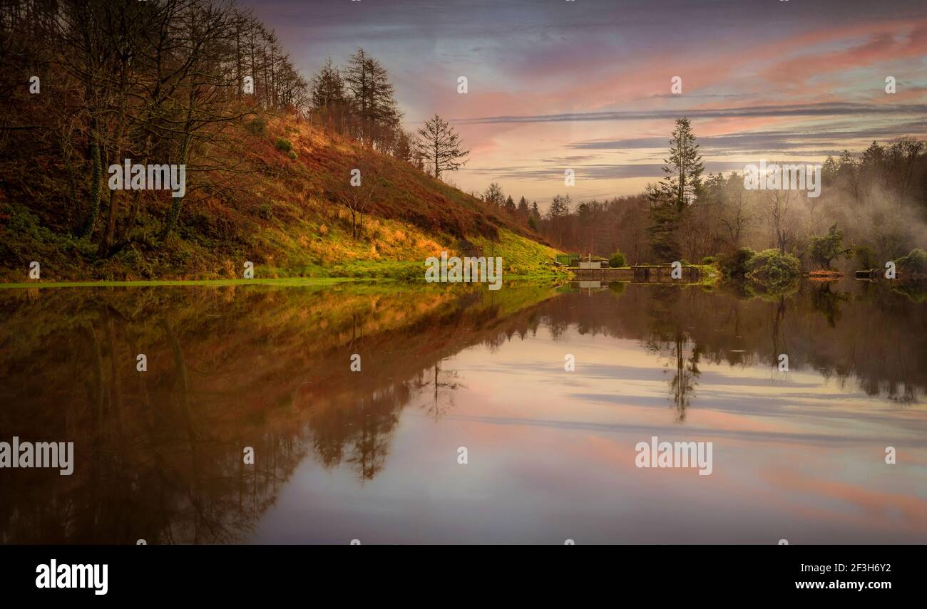Penllergare Upper Lake Stock Photo - Alamy