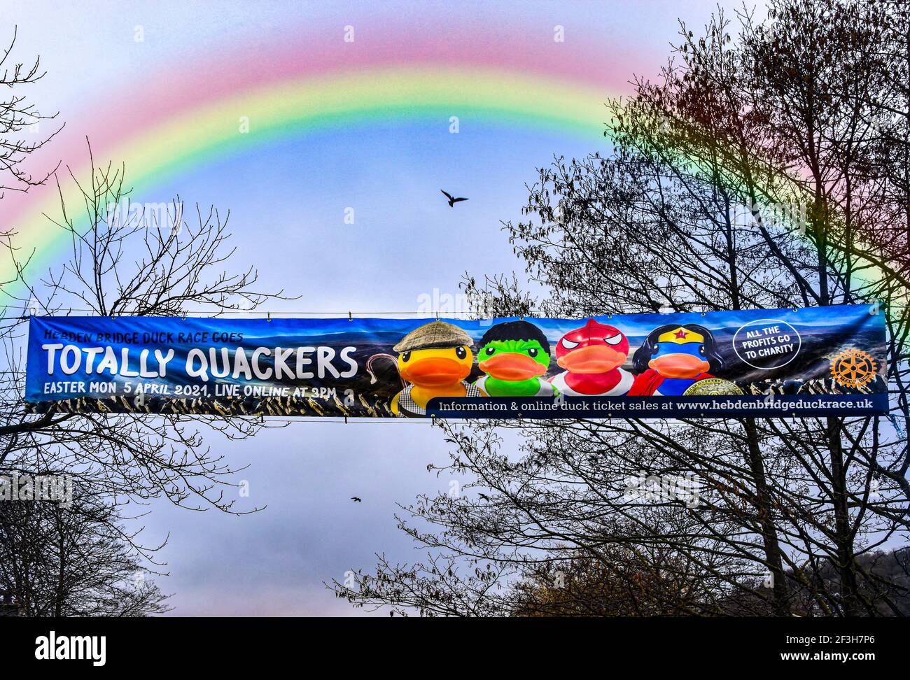 Duck race water hi-res stock photography and images - Alamy