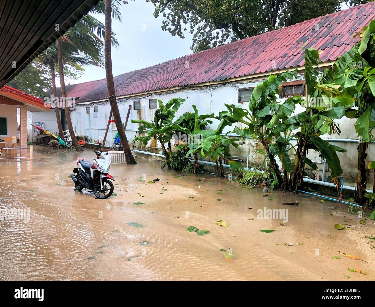 Scenery after a strong rain storm at a bungalow at Chaweng beach in Koh ...