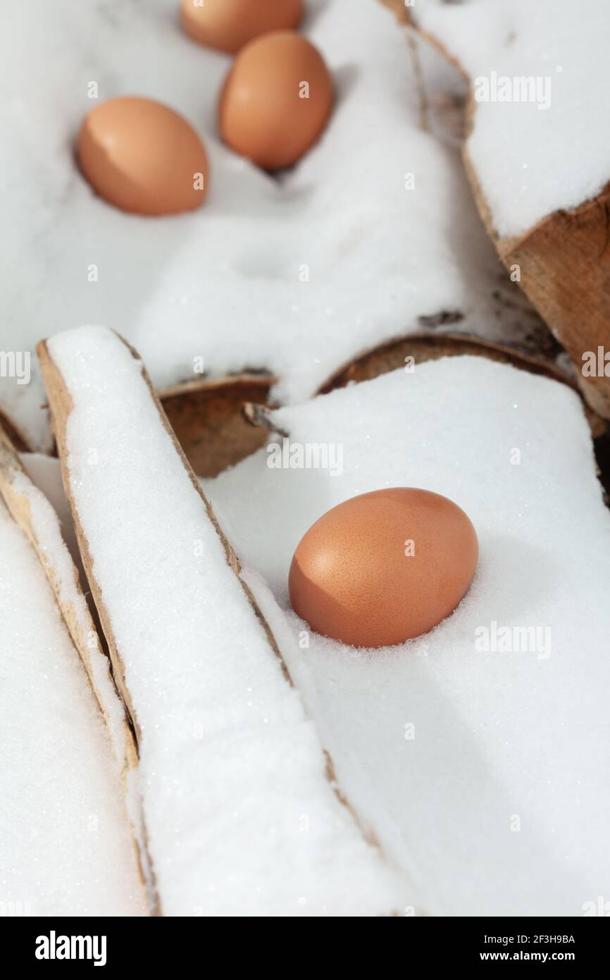 Chicken eggs in the snow. A modern composition about village life ...